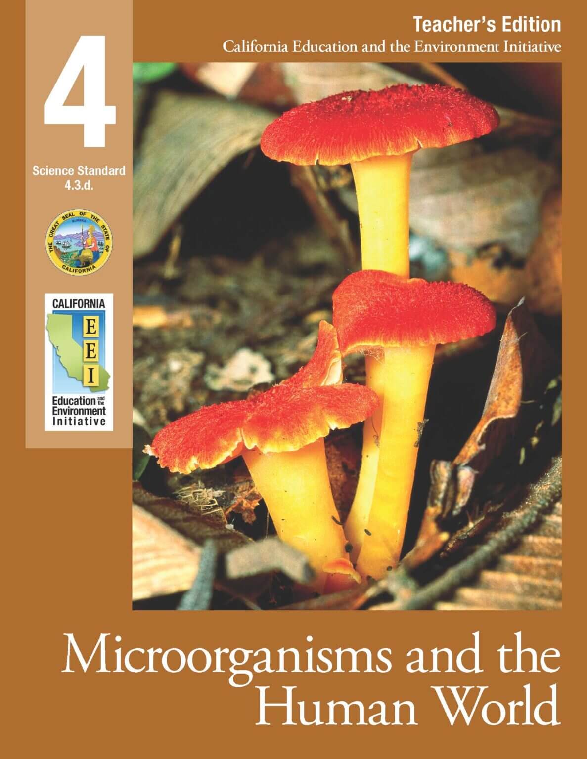 Science Archives - Ten Strands