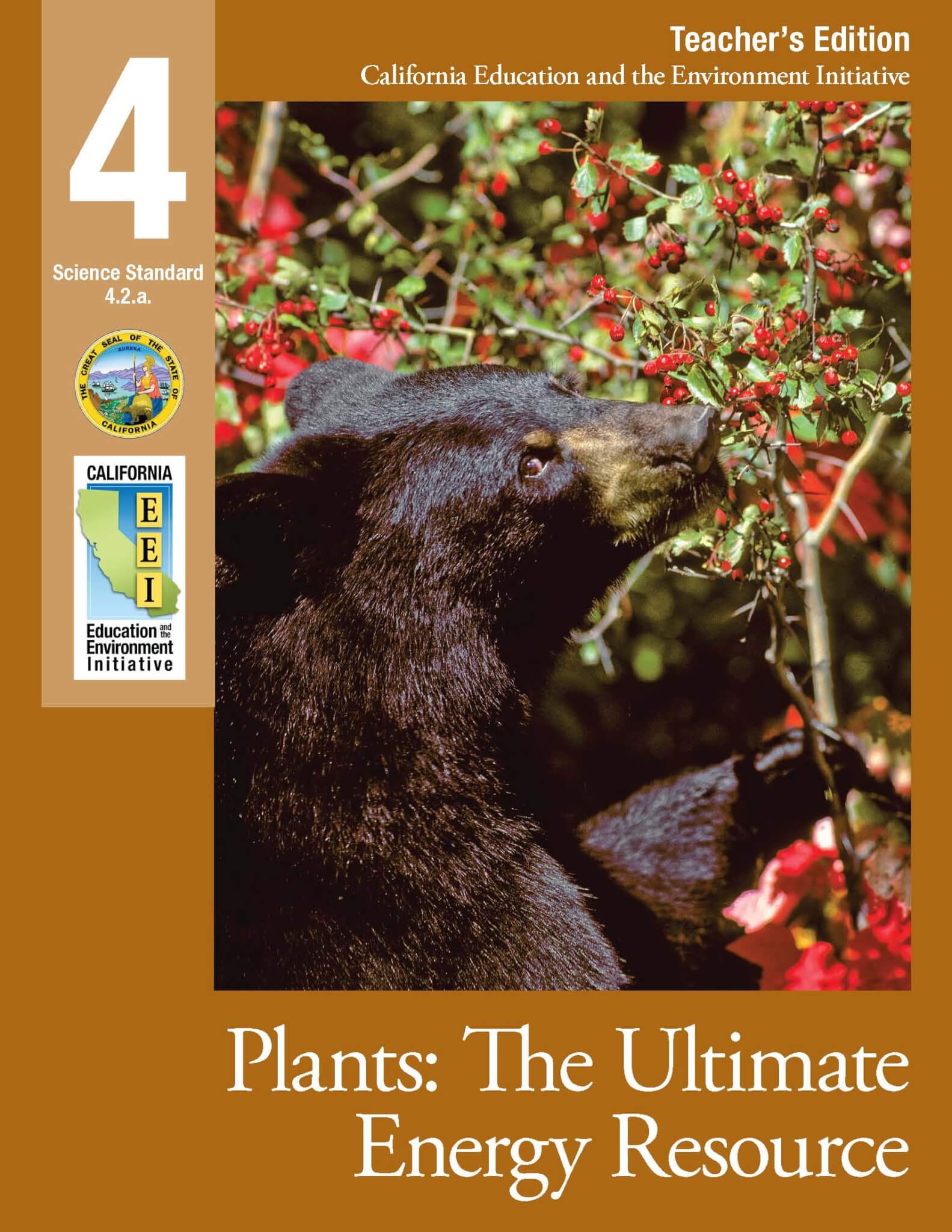 Science Archives - Ten Strands