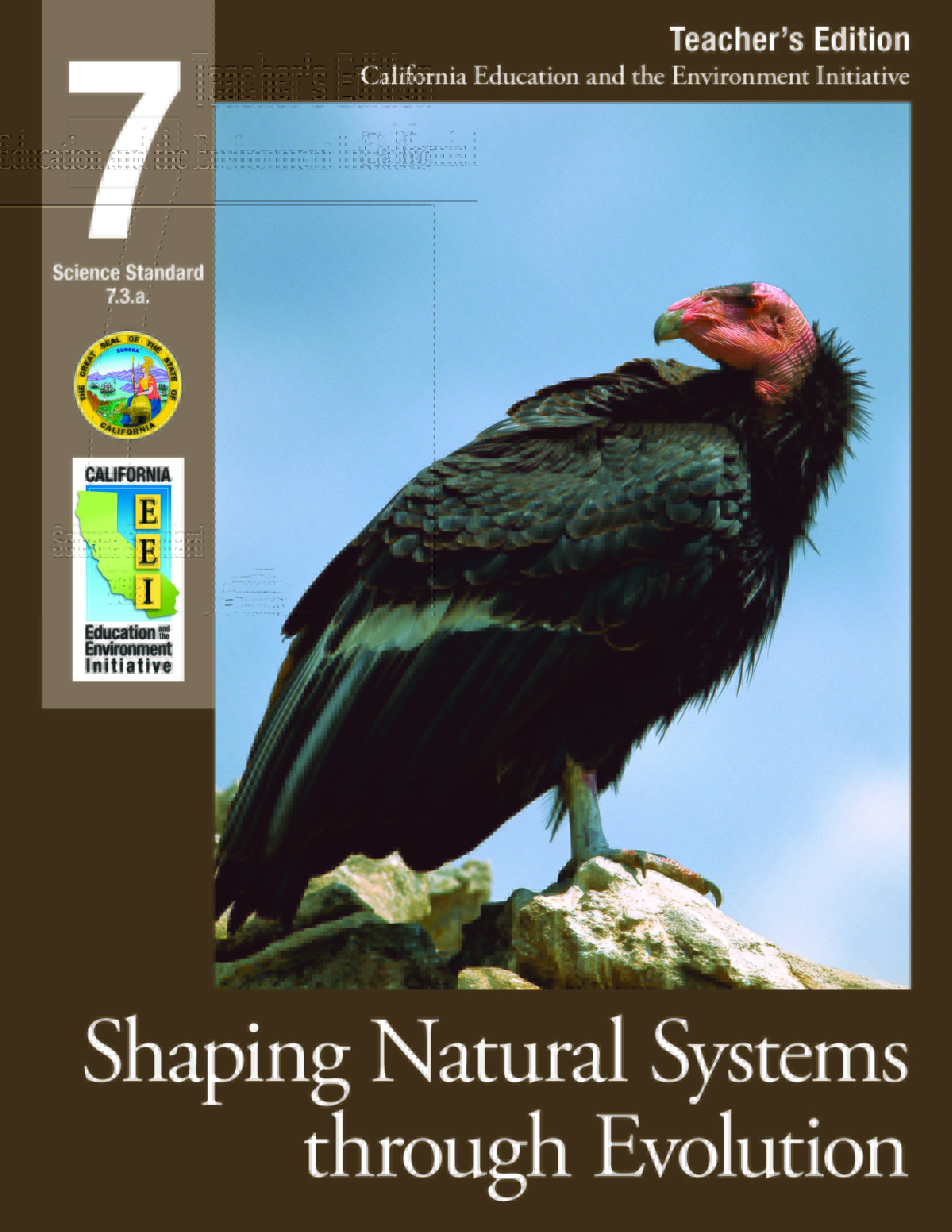 Science Archives - Ten Strands