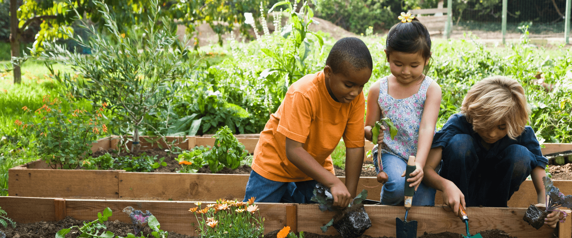 Building Educator Awareness of Environmental Education Programs - Ten Strands
