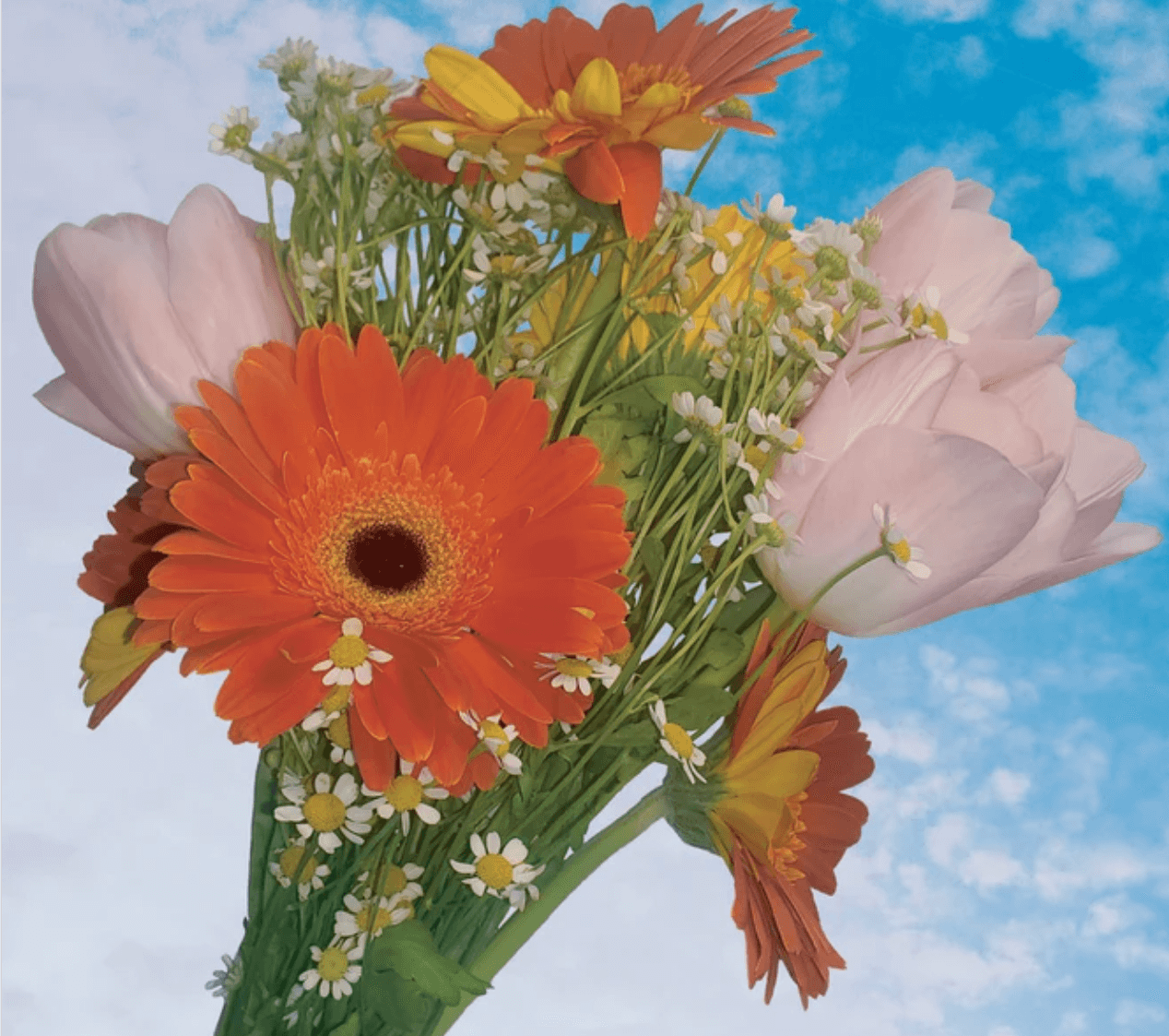 Connecting with Nature Through Ecowriting - Ten Strands