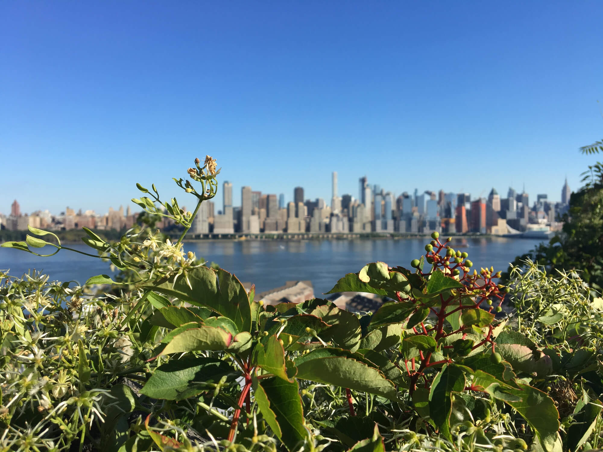 Three Decades of Transforming Sustainability Education — Q&A with ...